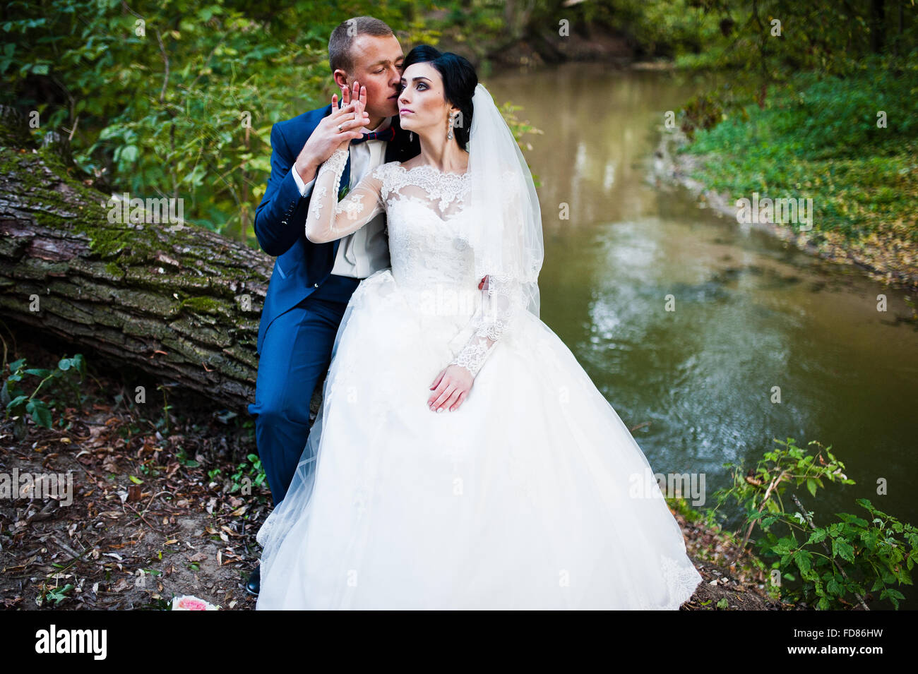 Wedding couple sitting on cut down tree background the river Stock ...