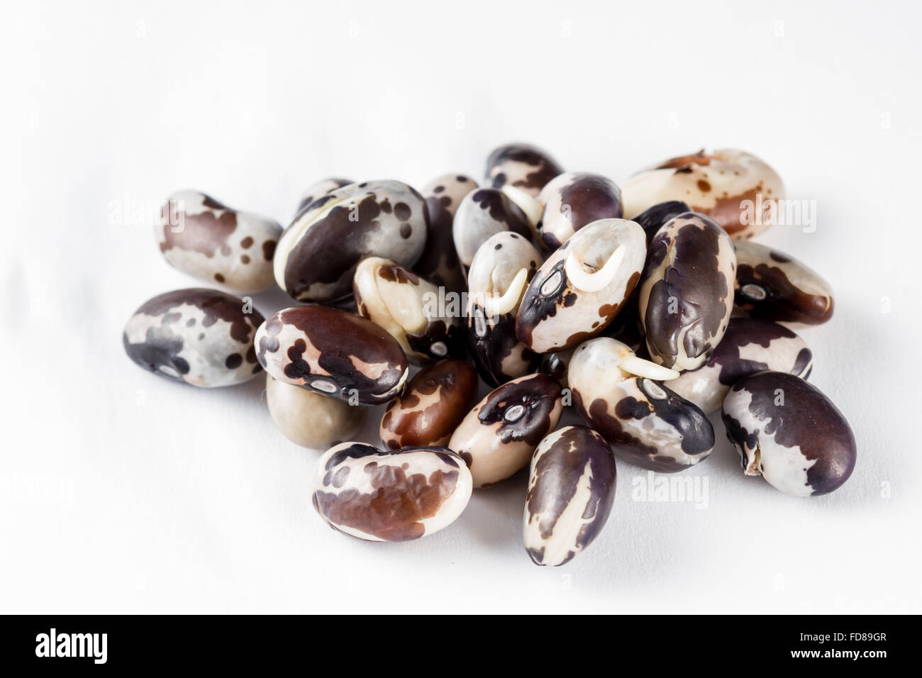 Orca beans growing hi-res stock photography and images - Alamy