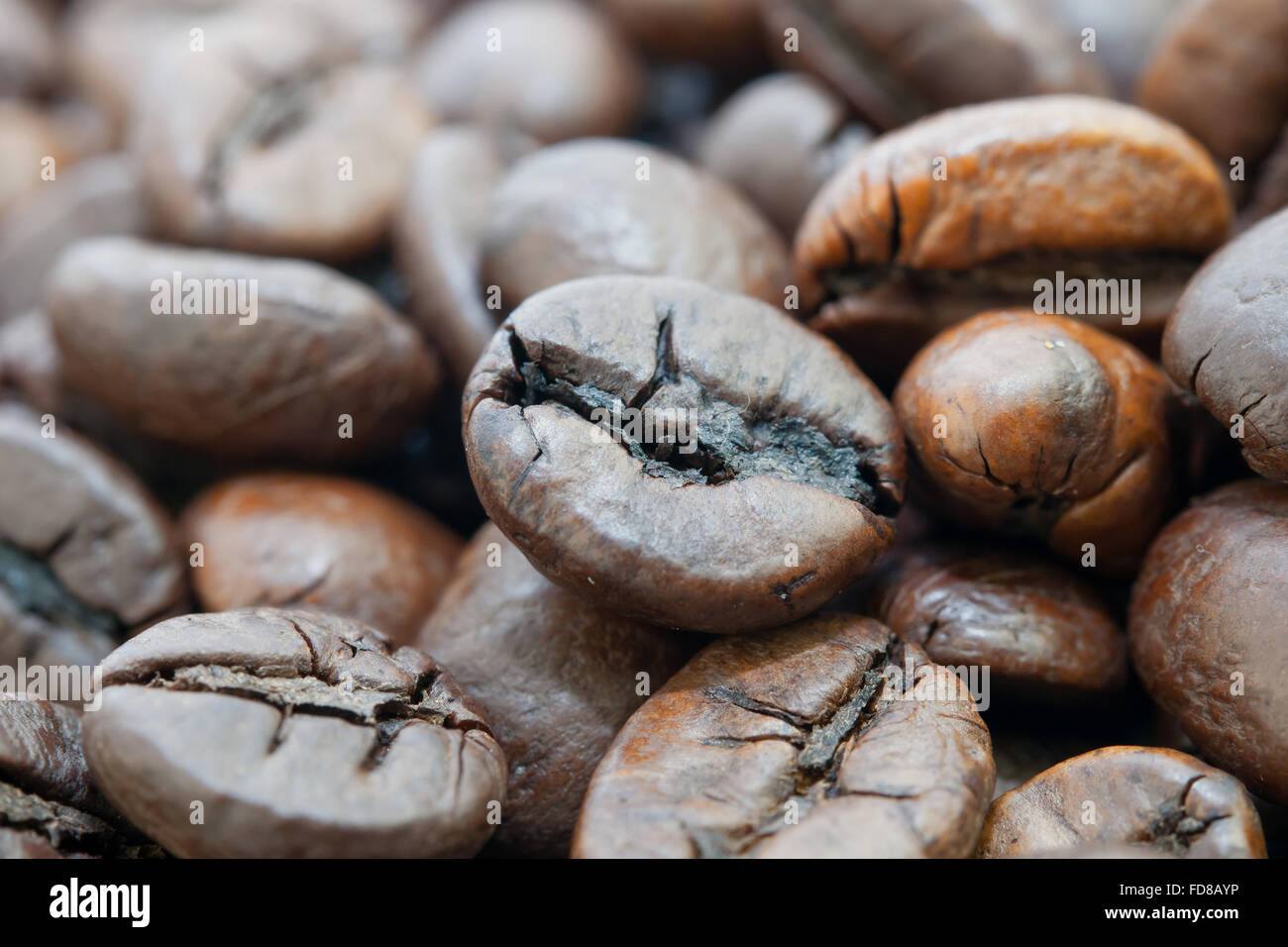 grains of coffee close up Stock Photo - Alamy