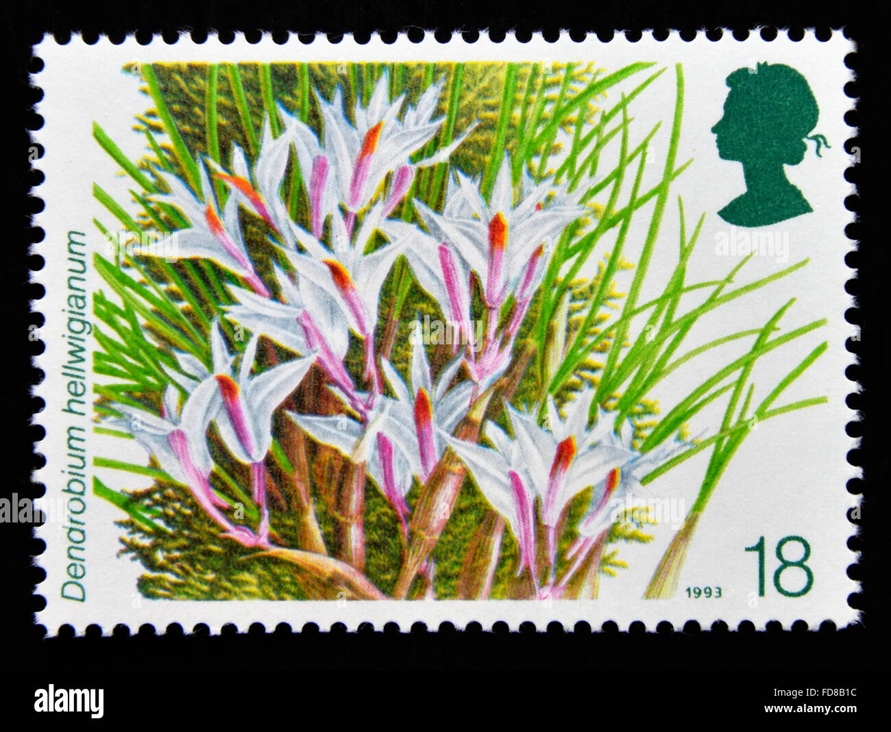 Postage stamp. Great Britain. Queen Elizabeth II. 1993. 14th. World ...