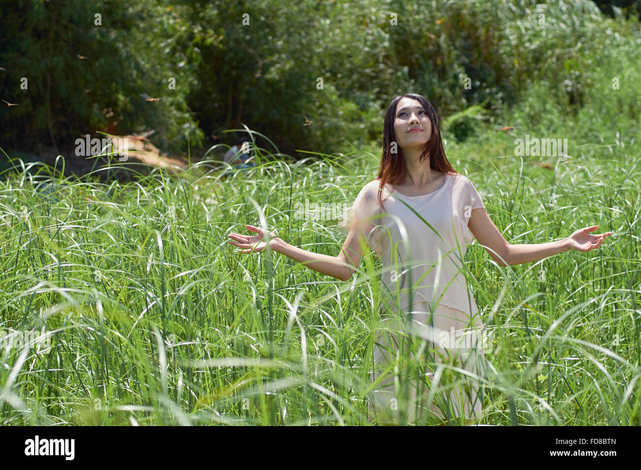 young Chinese beauty enjoy her time in nature Stock Photo - Alamy