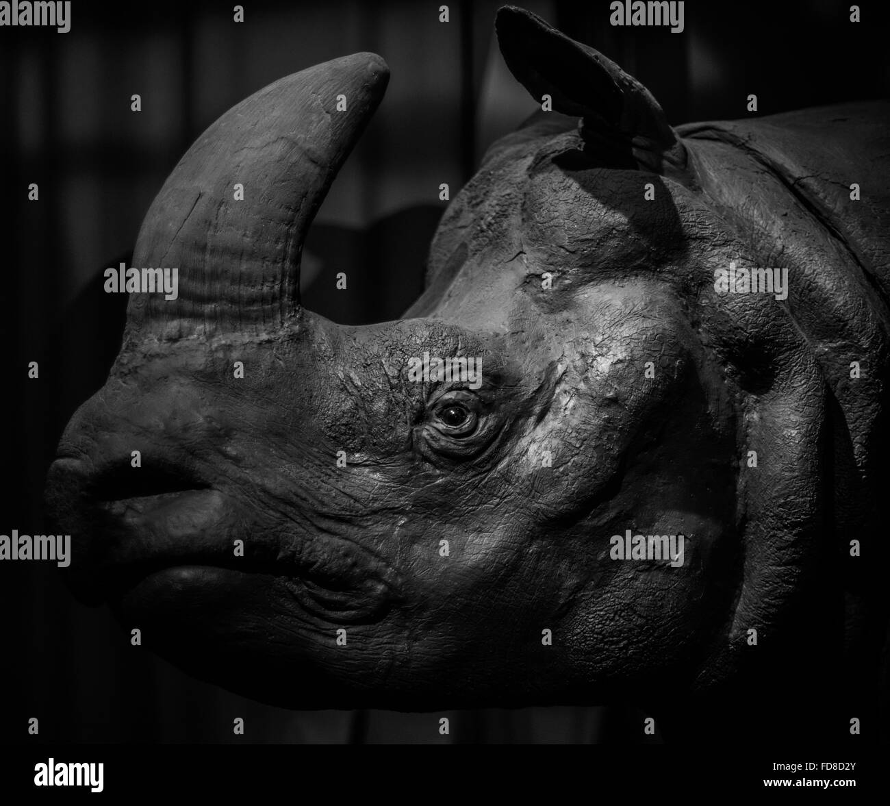 Rhinoceros sculpture hi-res stock photography and images - Alamy