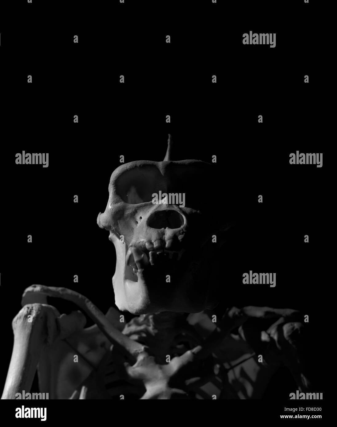 Close-Up Of Skeleton Against Black Background Stock Photo - Alamy