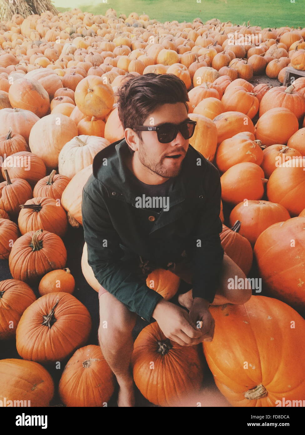 Man and pumpkin hi-res stock photography and images - Alamy