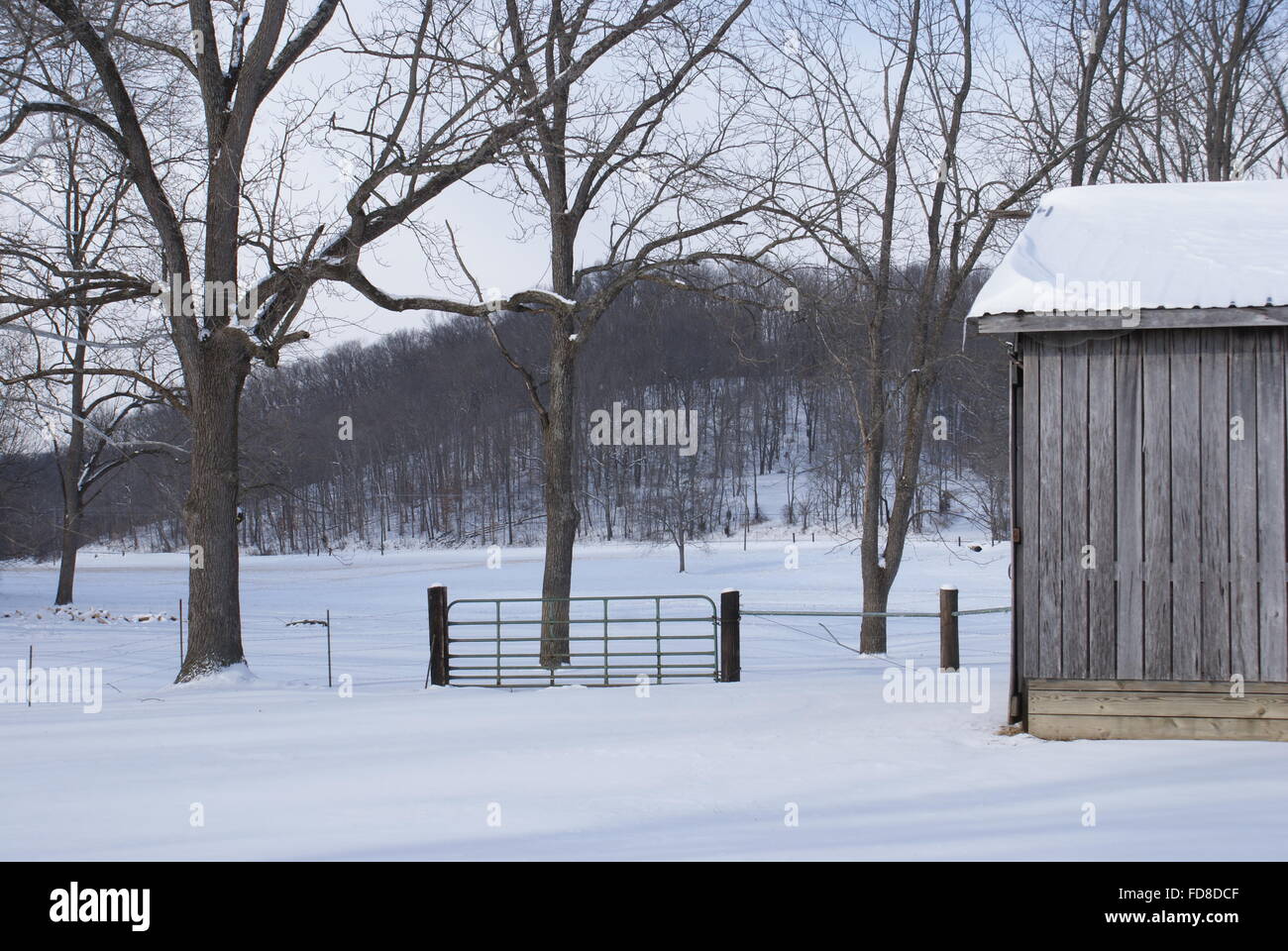 Beautiful snowy farm picture out in the country. With barn and gate to ...