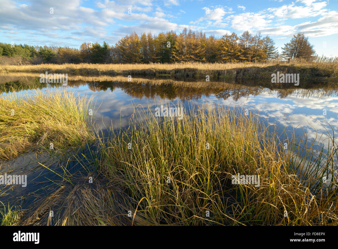 Sakhalin river landscape hi-res stock photography and images - Alamy