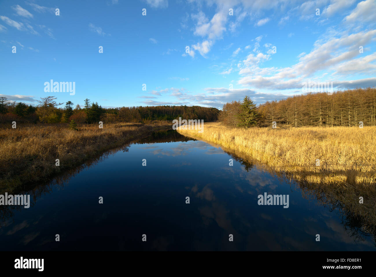Sakhalin River Landscape High Resolution Stock Photography and Images ...