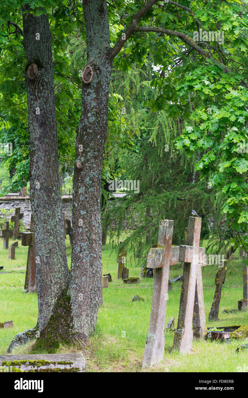St bridgets convent hi-res stock photography and images - Alamy