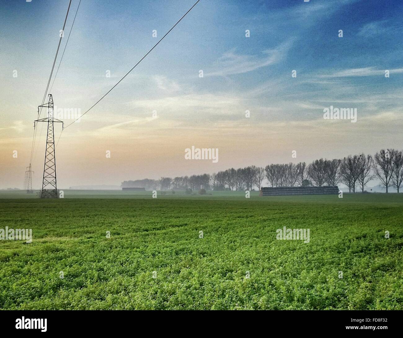 Pylons in green field hi-res stock photography and images - Alamy
