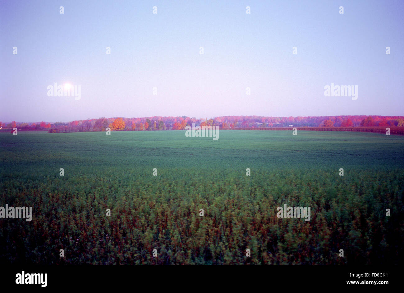 Moon evening field hi-res stock photography and images - Alamy