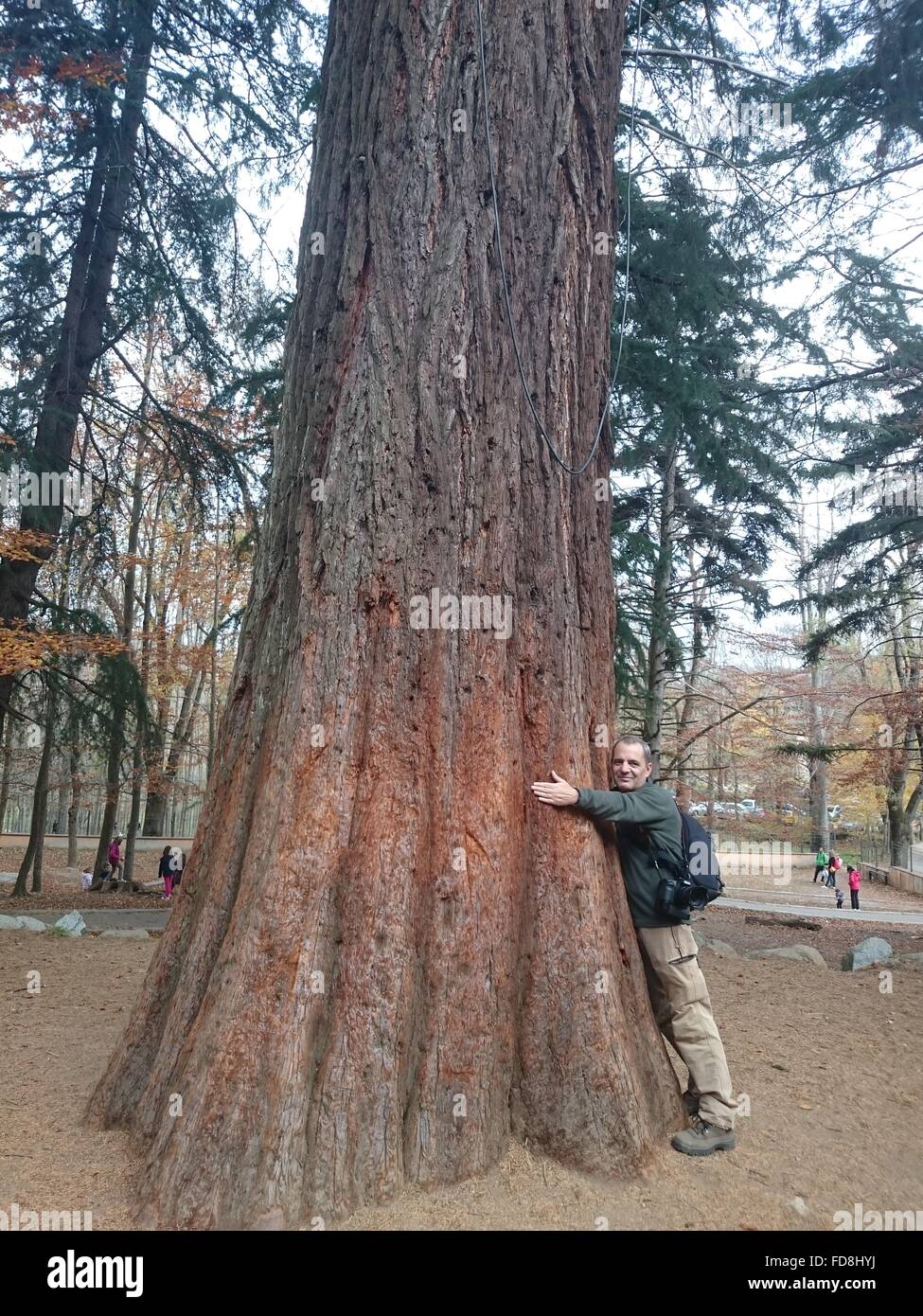 People Hugging Tree High Resolution Stock Photography and Images - Alamy