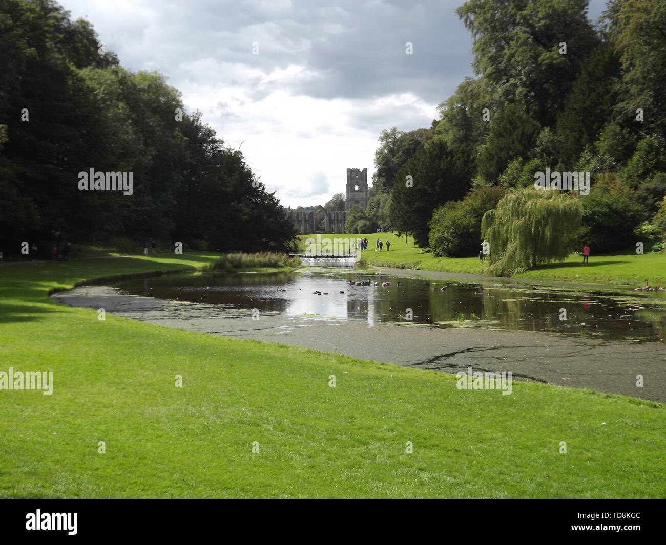 Large scenic park hi-res stock photography and images - Alamy