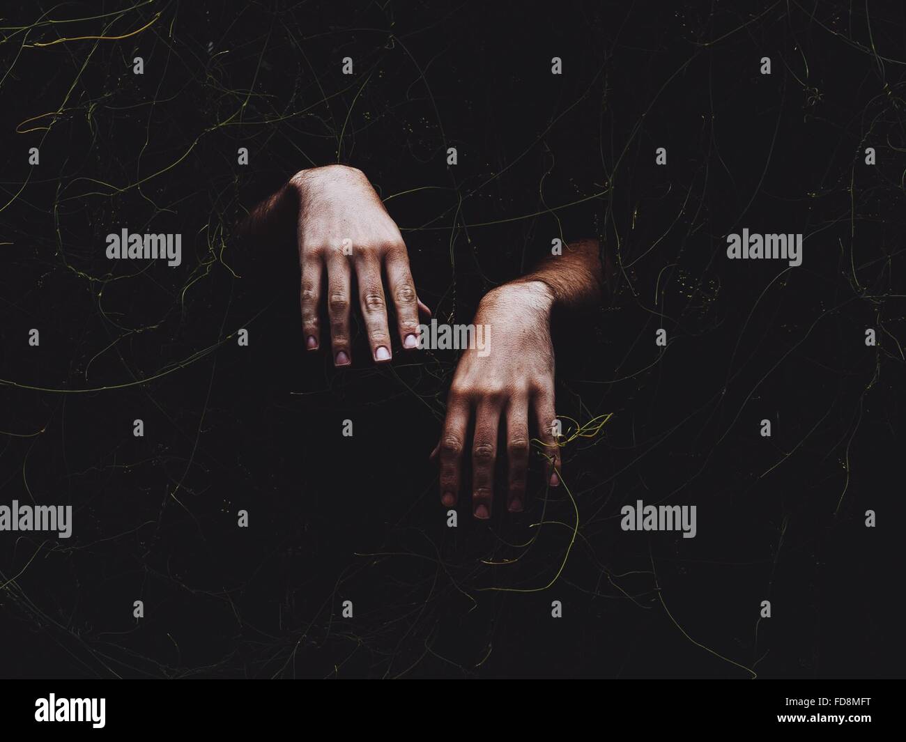 Covered Night High Resolution Stock Photography and Images - Alamy