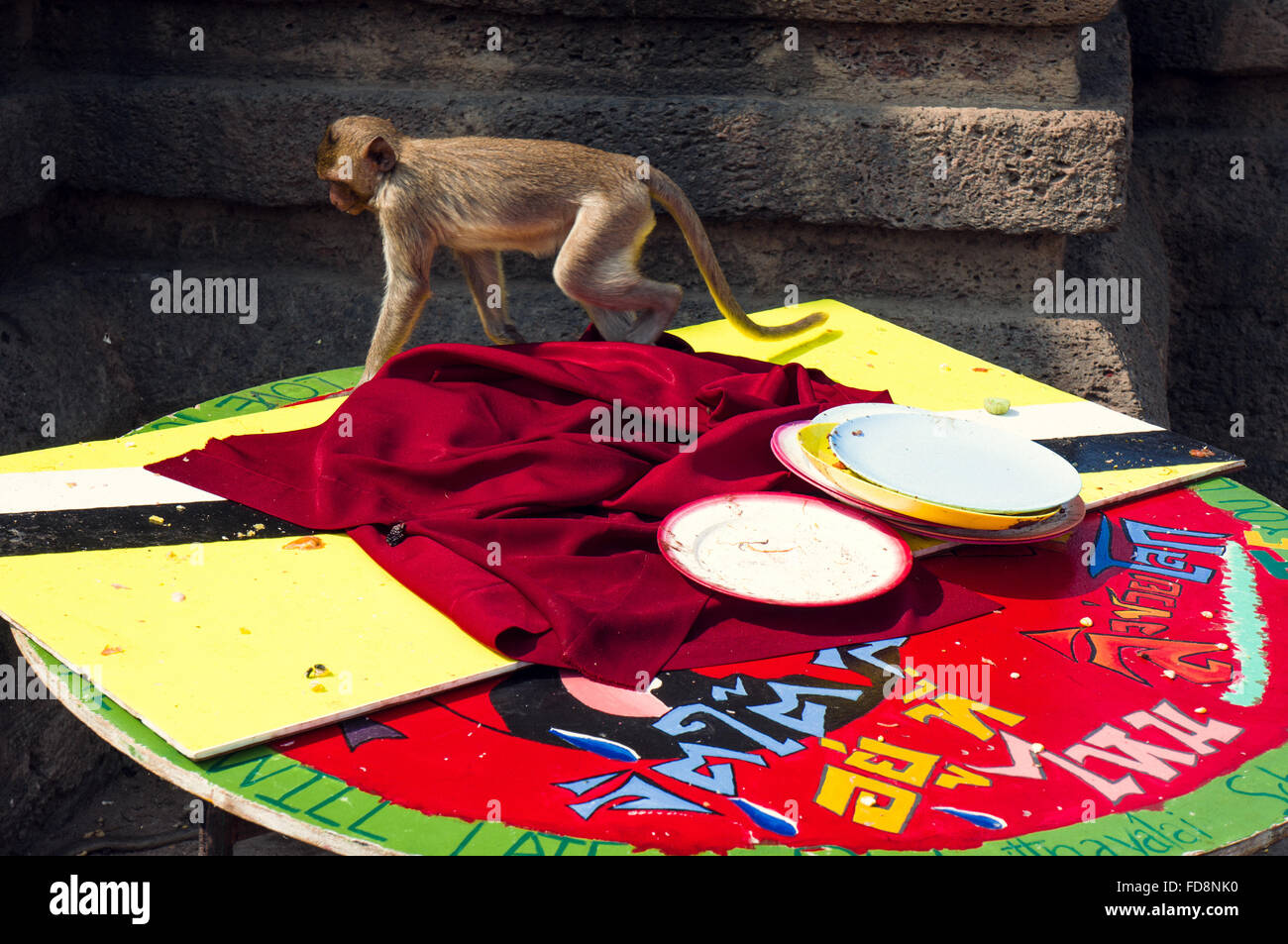 Monkey table hi-res stock photography and images - Alamy