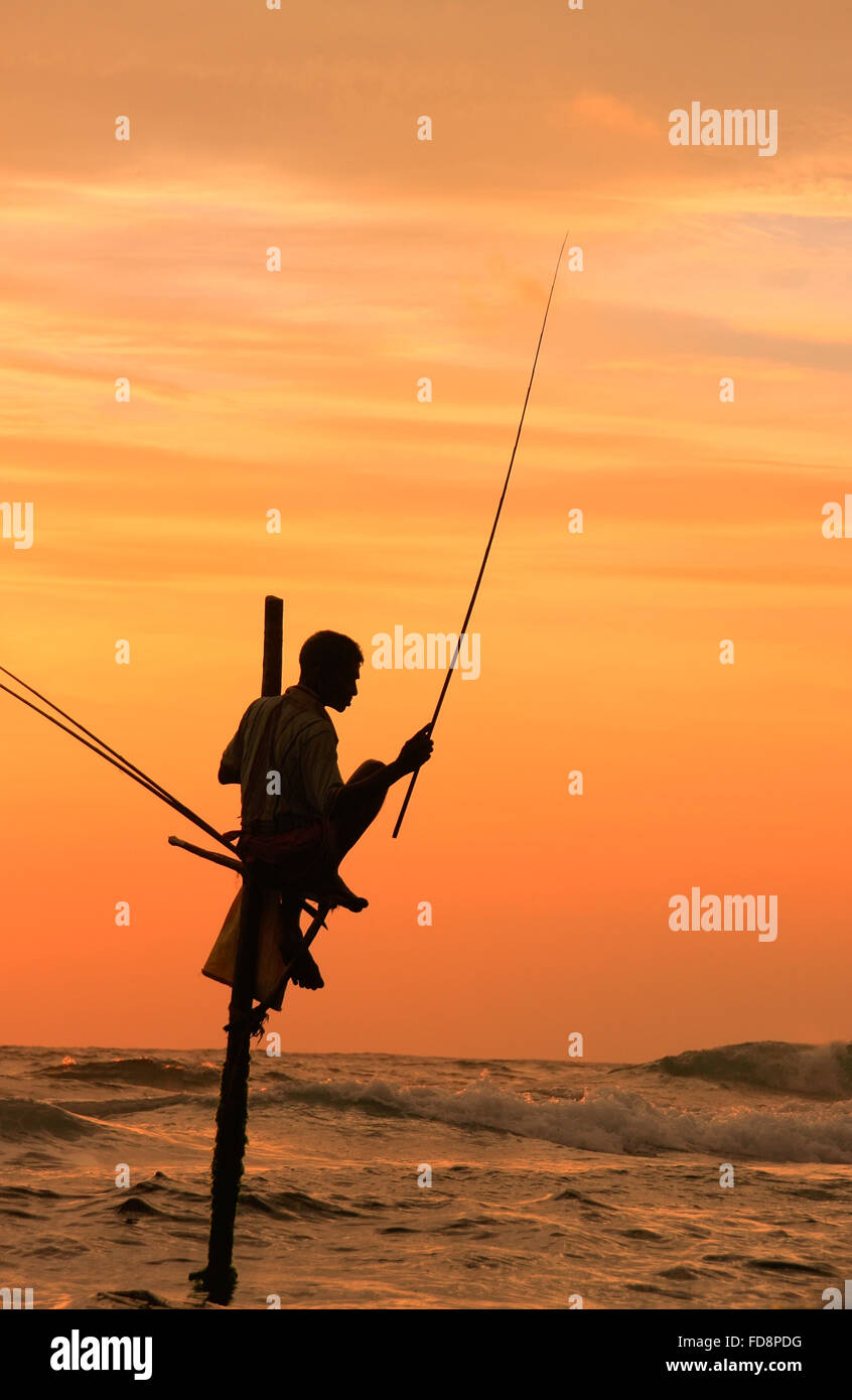 Silhouette of a stick fisherman at sunset, Unawatuna, Sri Lanka Stock ...
