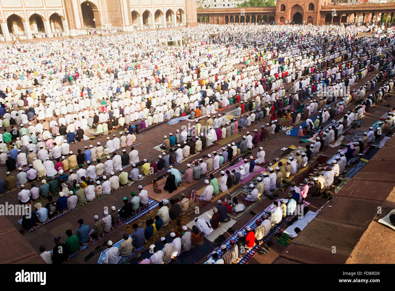 Group people praying namaz masjid hi-res stock photography and images ...
