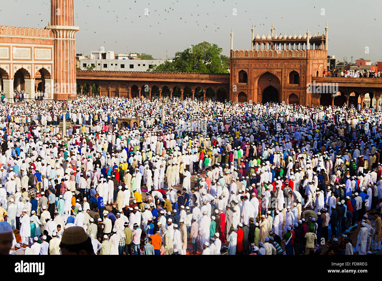 Group people praying namaz masjid hi-res stock photography and images ...