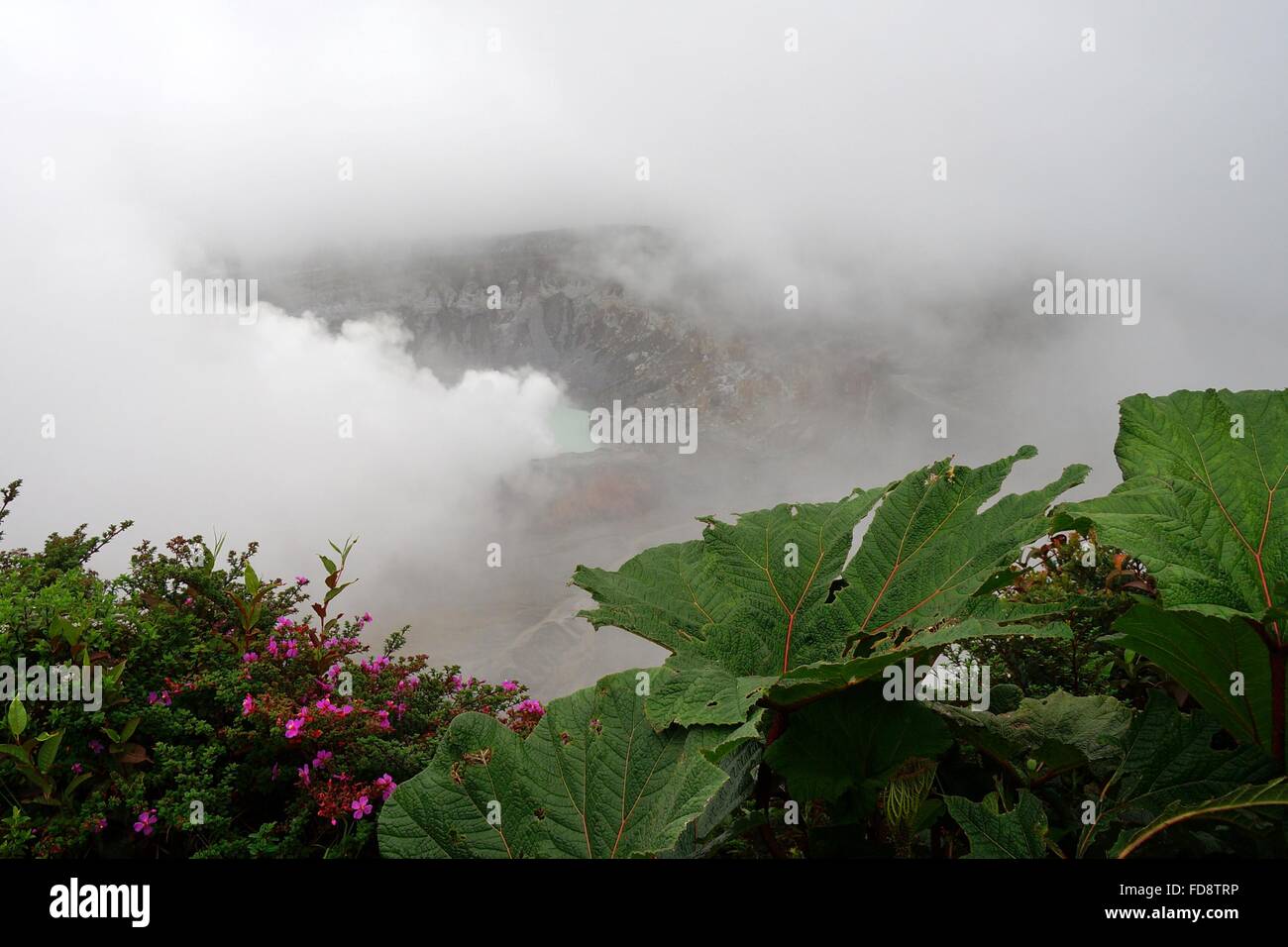 Clouds and steam over Poas Volcano crater, Costa Rica Stock Photo - Alamy
