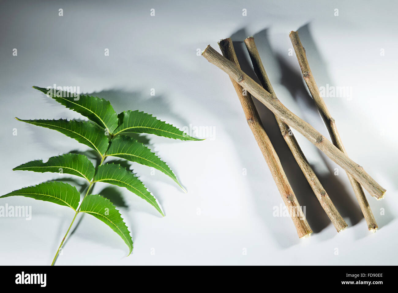 Neem leaf image hi-res stock photography and images - Alamy
