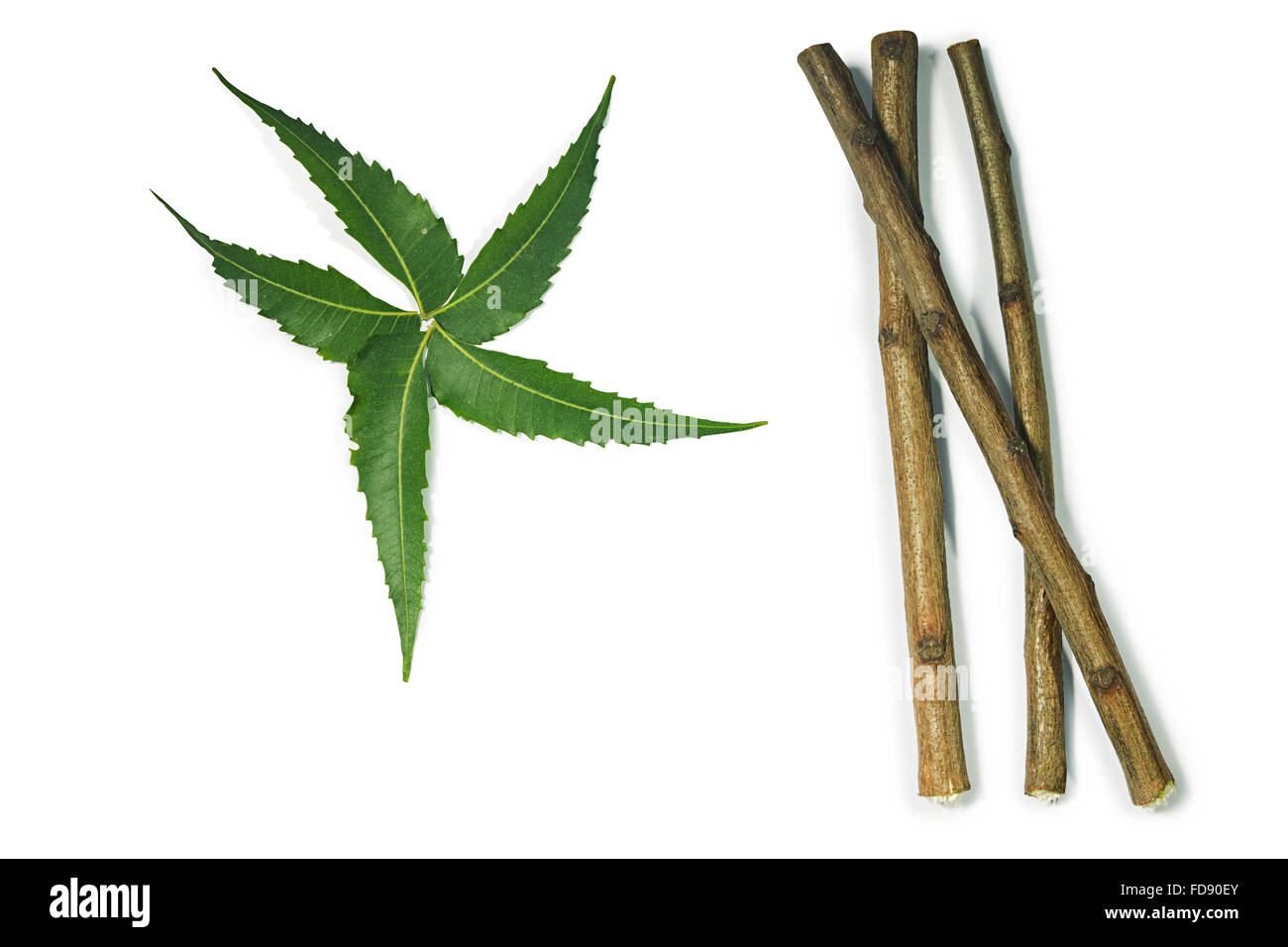 Neem leaf hi-res stock photography and images - Alamy