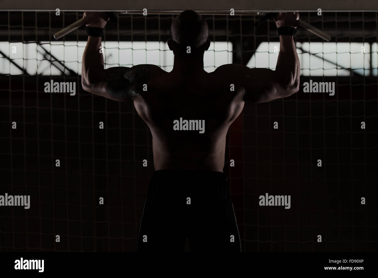 Muscular bodybuilder doing chin up hi-res stock photography and images ...