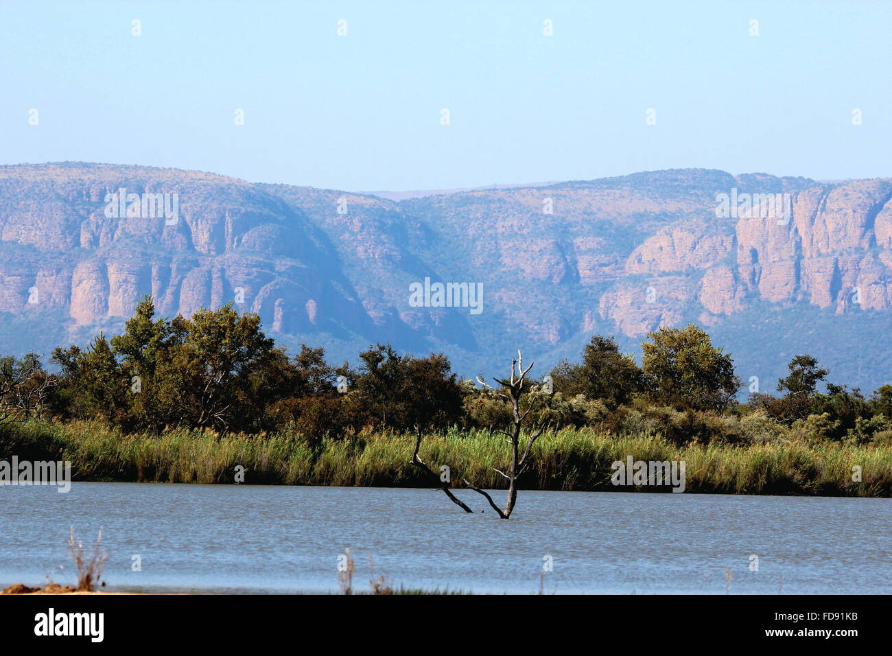 Blue sky African lake landscape with tree, Limpopo South Africa Stock ...