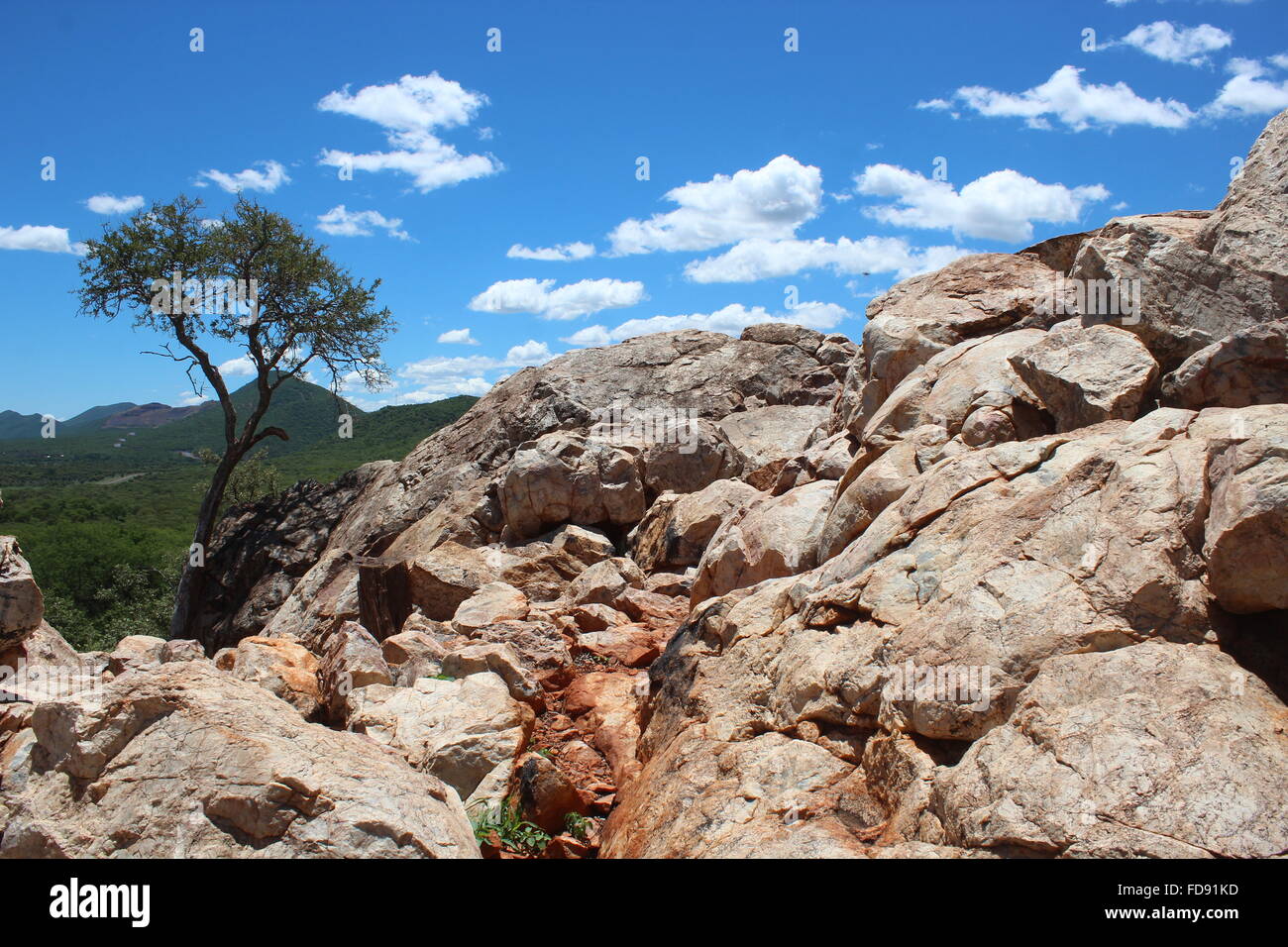 Blue sky African rock landscape with tree, Limpopo South Africa Stock ...