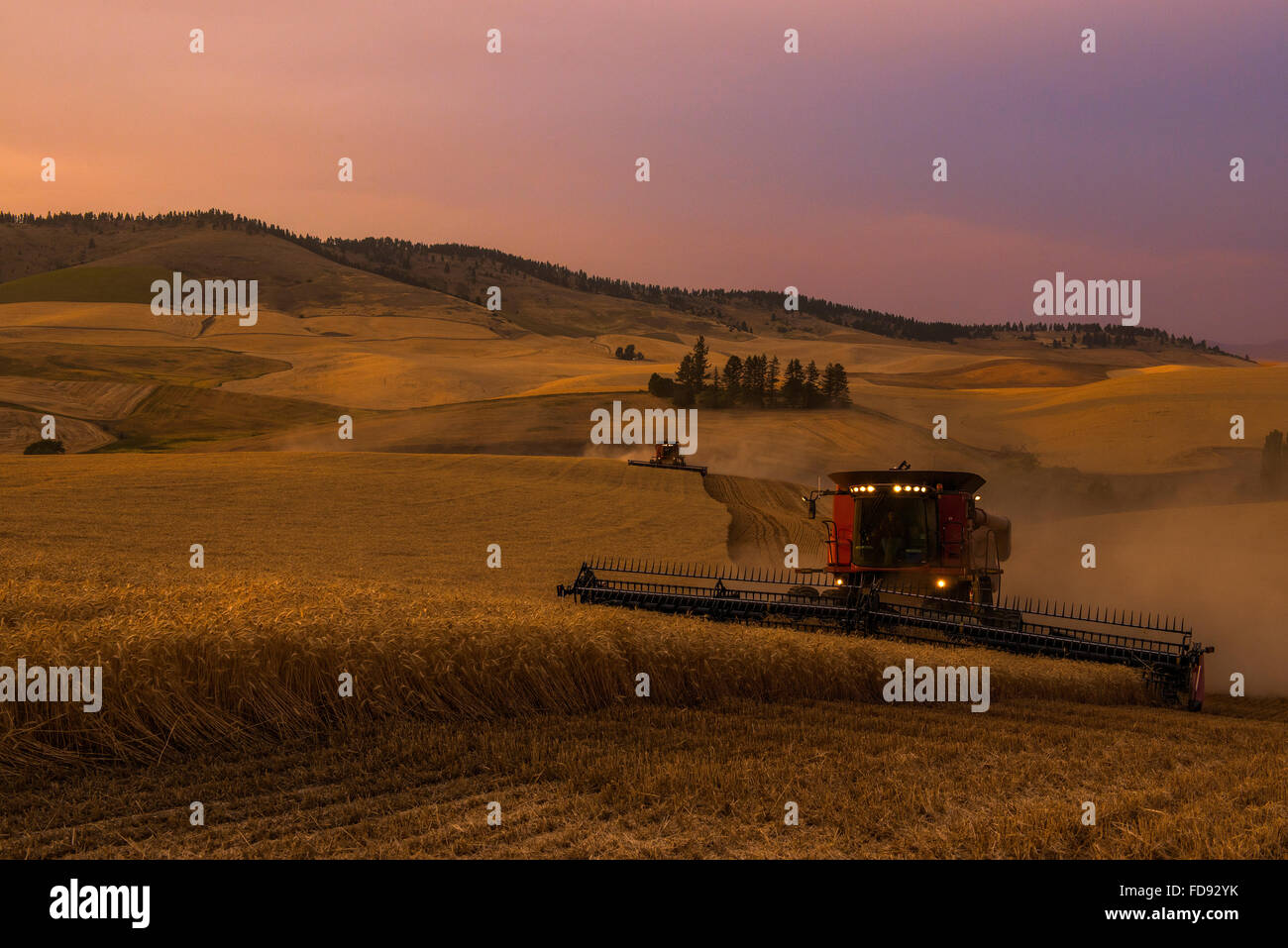 A Case combine harvests grain in the Palouse region of Eastern ...