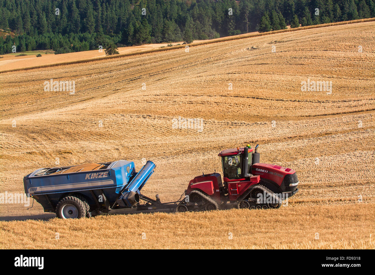 A tractor pulling a grain cart waits in a wheat field during harvest in ...