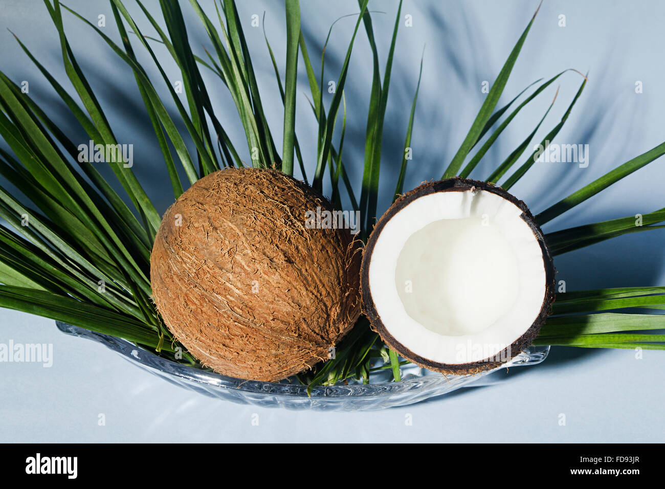 Tray Coconut Fruits and leaf Nobody Stock Photo - Alamy
