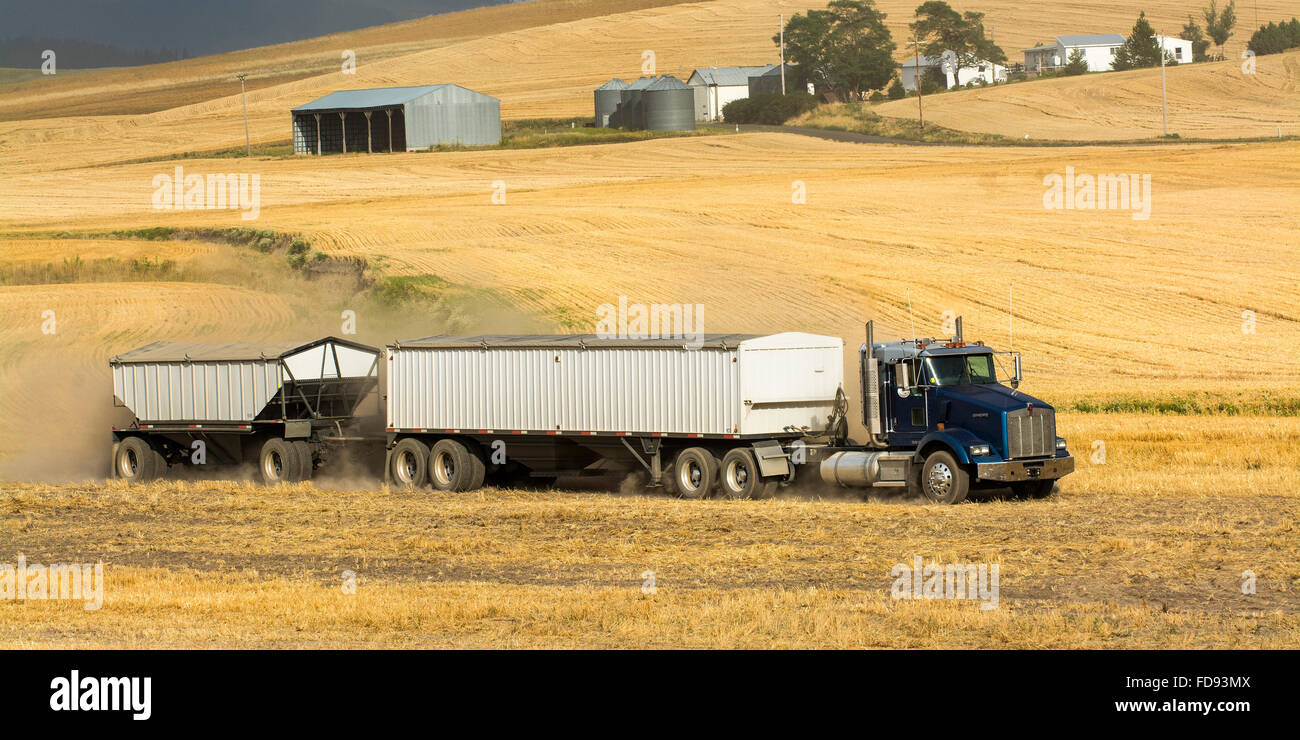 A grain truck moving through a field during harvest in the Palouse ...