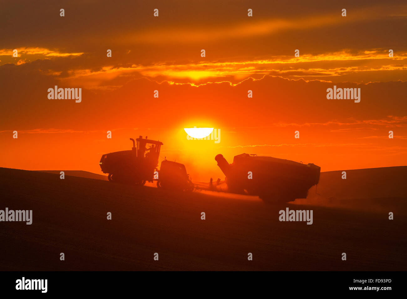 Case quadtrac tractor pulling a grain cart in a wheat field during ...