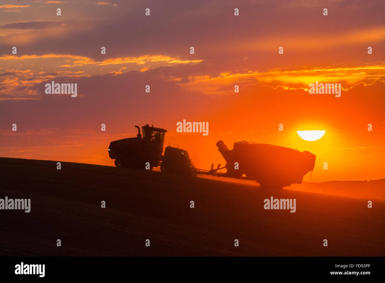 Case quadtrac tractor pulling a grain cart in a wheat field during ...