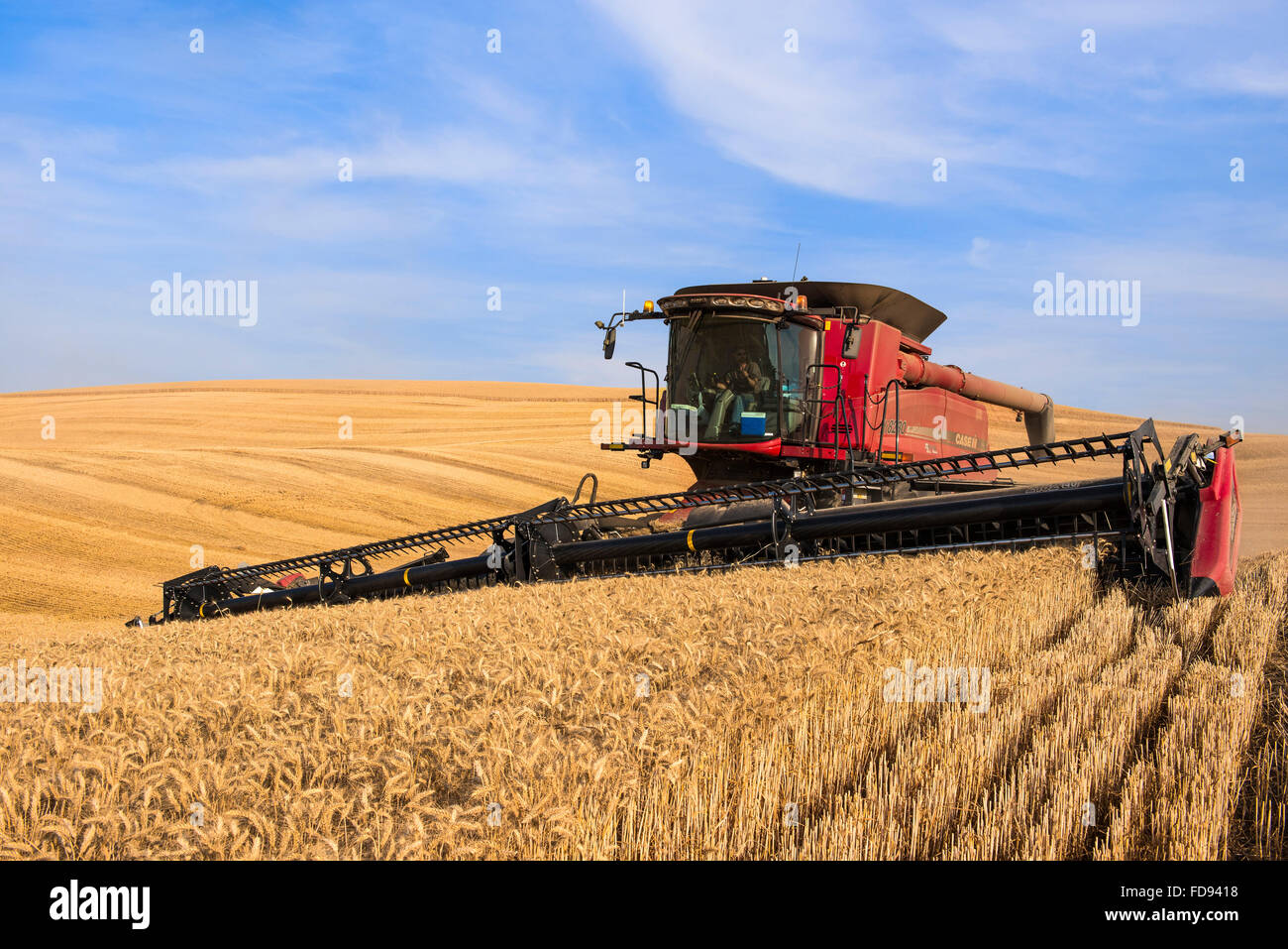 A Case combine harvests grain in the Palouse region of Easter ...