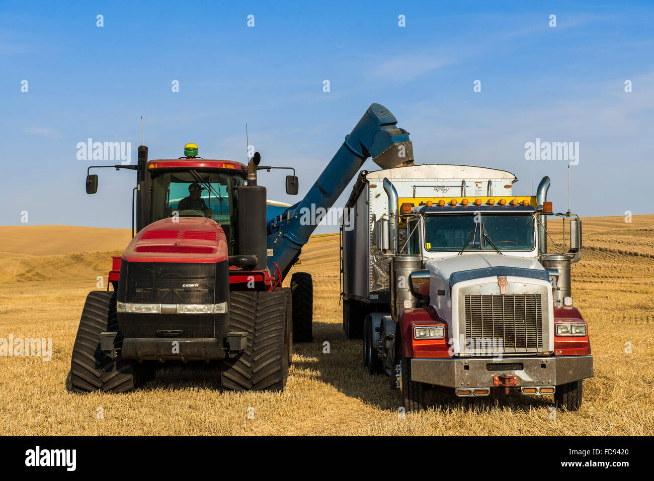 Grain cart unloading wheat into a grain truck in the Palouse Region of ...