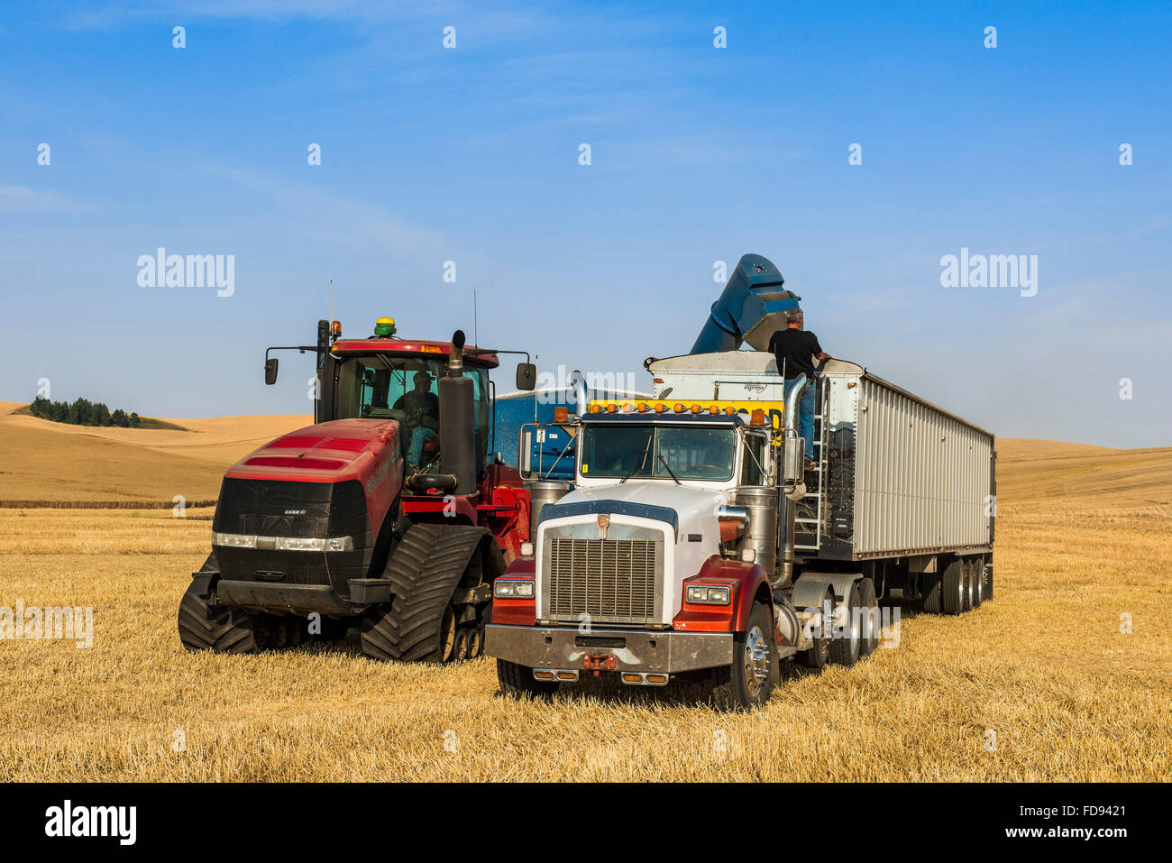 Grain cart unloading wheat into a grain truck in the Palouse Region of ...