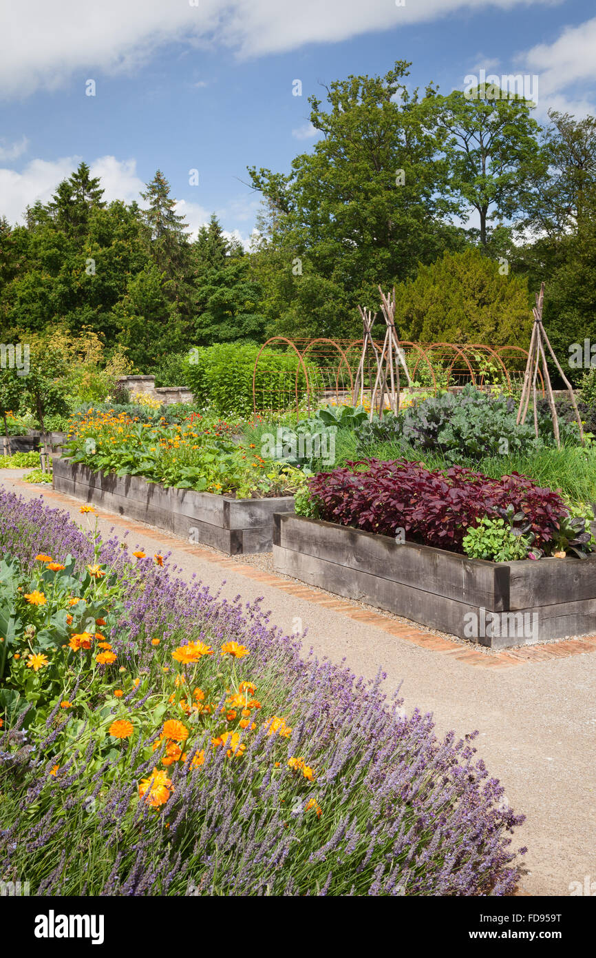 Raised beds made of Quercus robur - English Oak. The Kitchen Garden at ...