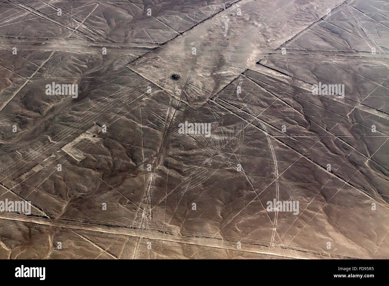 Nazca desert hi-res stock photography and images - Alamy