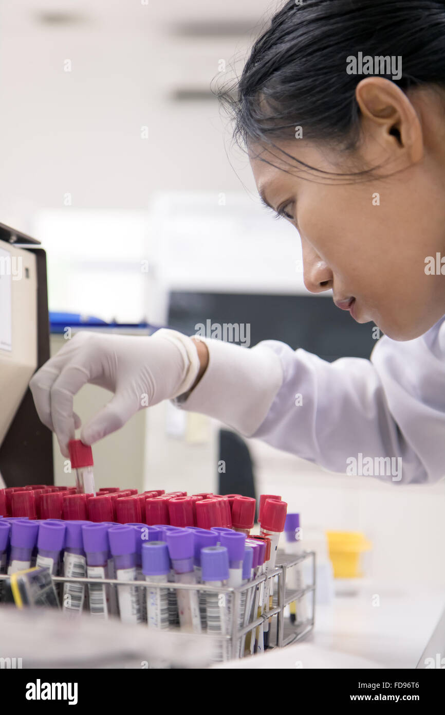 woman working with testing tubes of blood in a laboratory in hospital ...