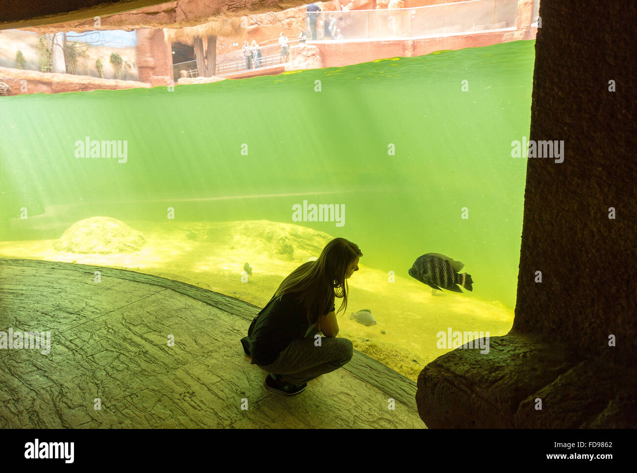 Wroclaw poland aquarium in afrykarium hi-res stock photography and ...