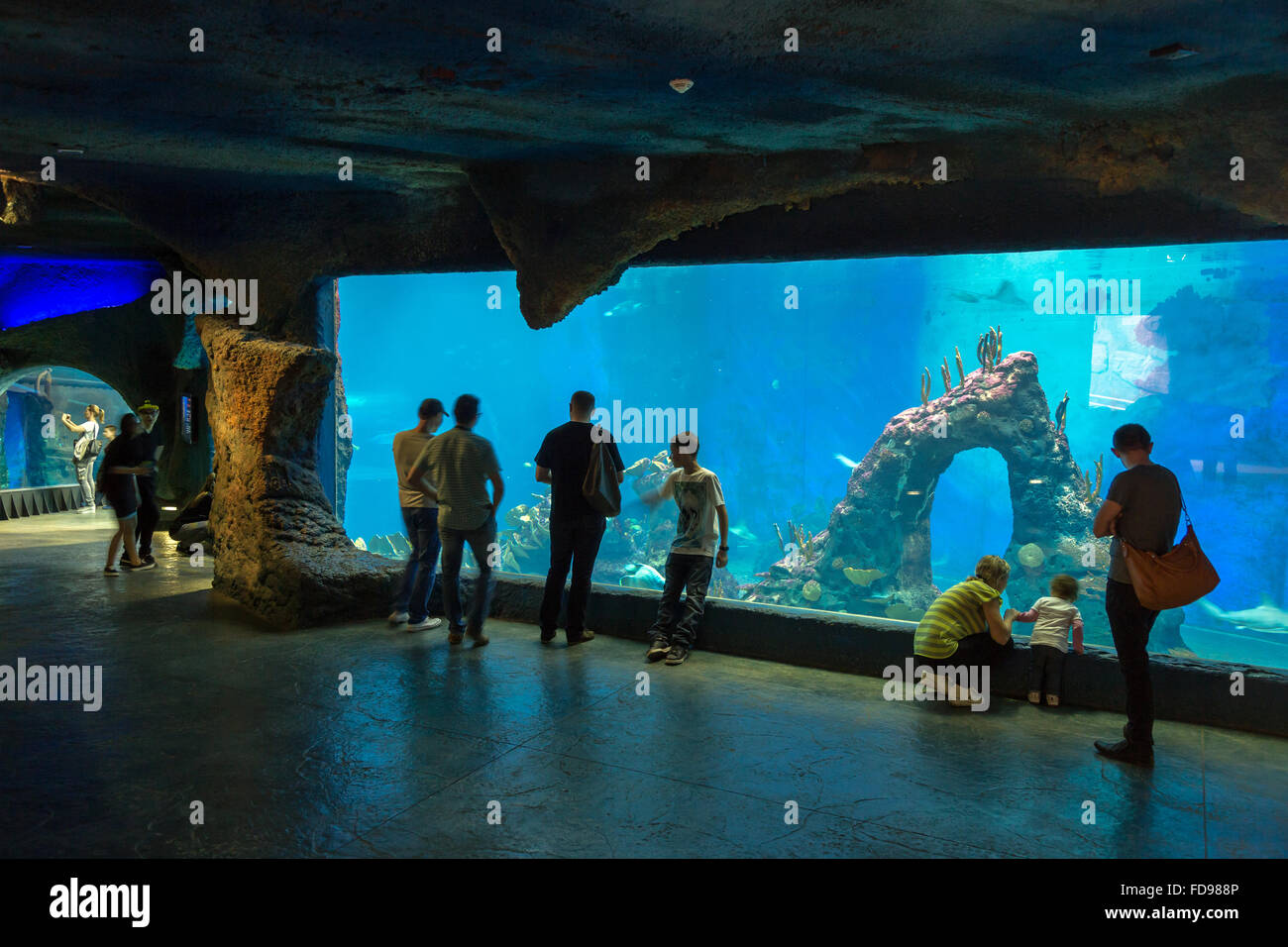 Wroclaw, Poland, Aquarium in Afrykarium in Wroclaw Zoo Stock Photo ...