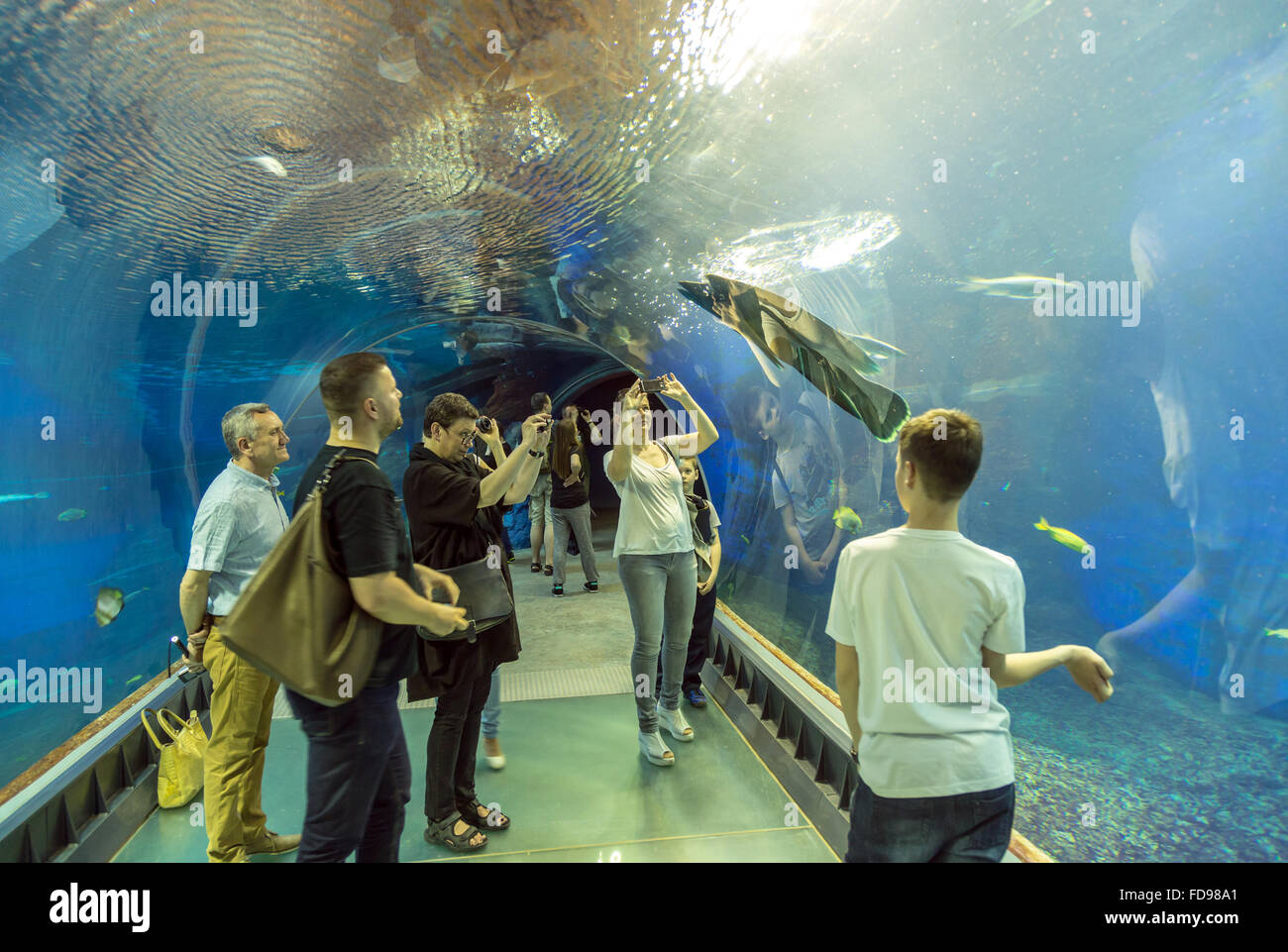 Wroclaw, Poland, Aquarium of the bottom of the Afrykarium in Wroclaw ...