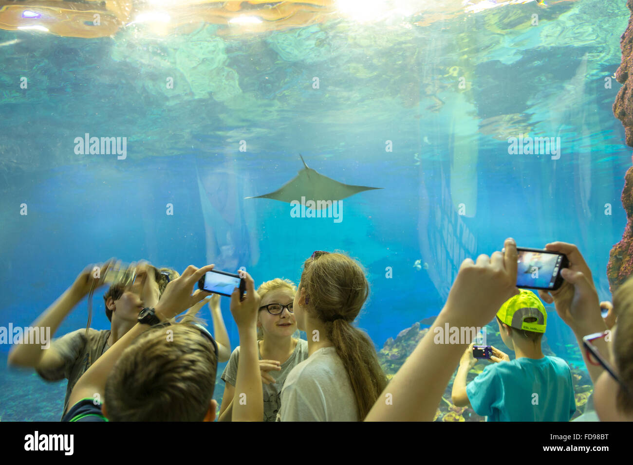 Wroclaw, Poland, Aquarium of the bottom of the Afrykarium in Wroclaw ...