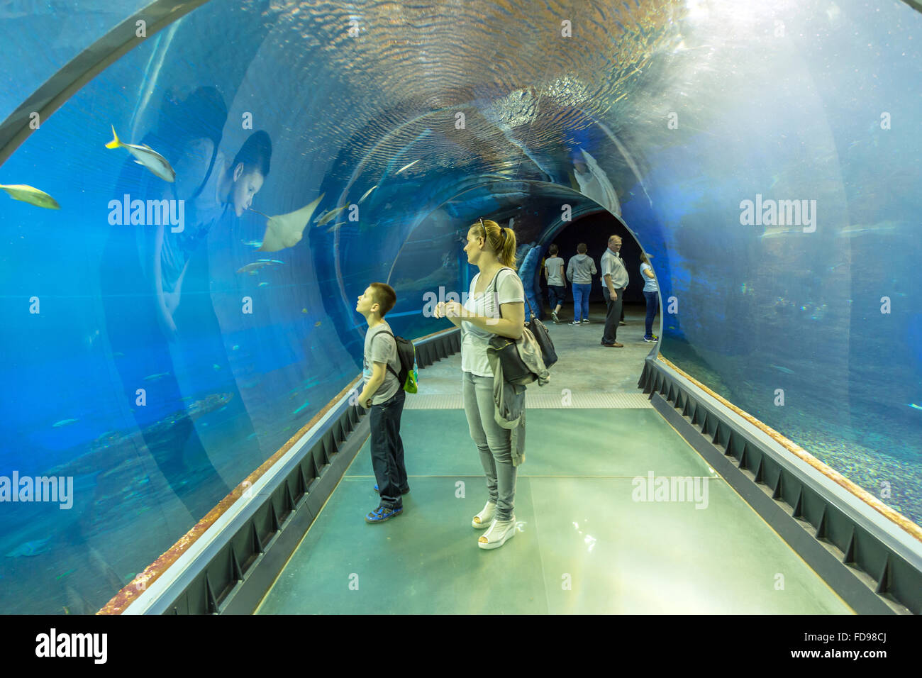 Wroclaw, Poland, Aquarium of the bottom of the Afrykarium in Wroclaw ...