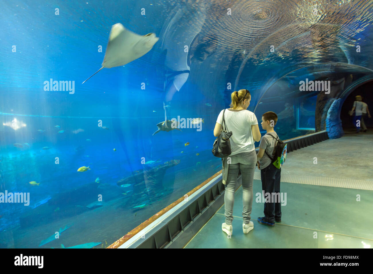 Zoo wroclaw afrykarium hi-res stock photography and images - Alamy