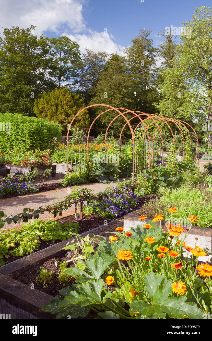 Metal archway climbing frame among raised beds. The Kitchen Garden at ...