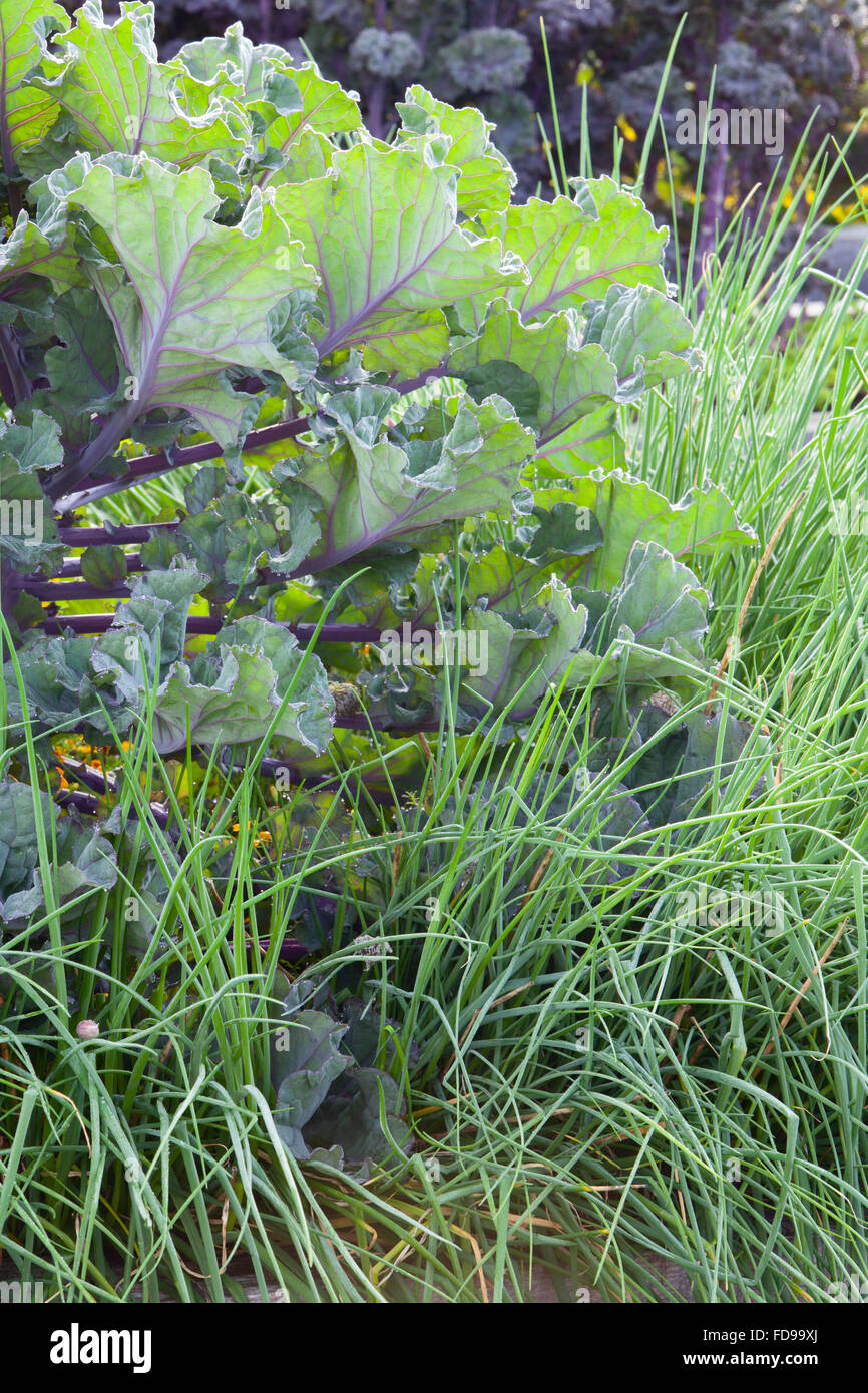 Garden posy hi-res stock photography and images - Alamy