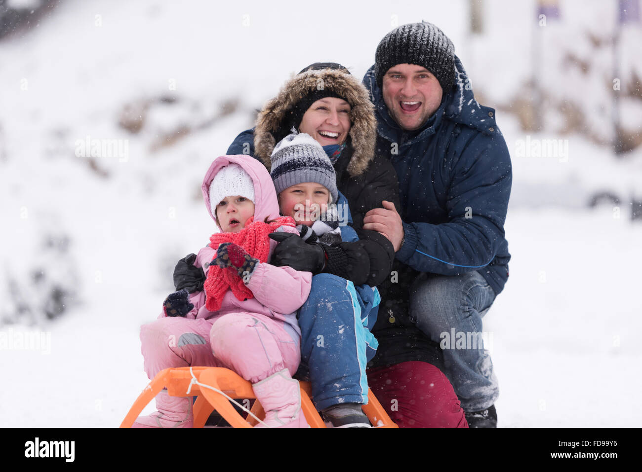 happy young family portrait on winter vacation while sitting sledge at ...