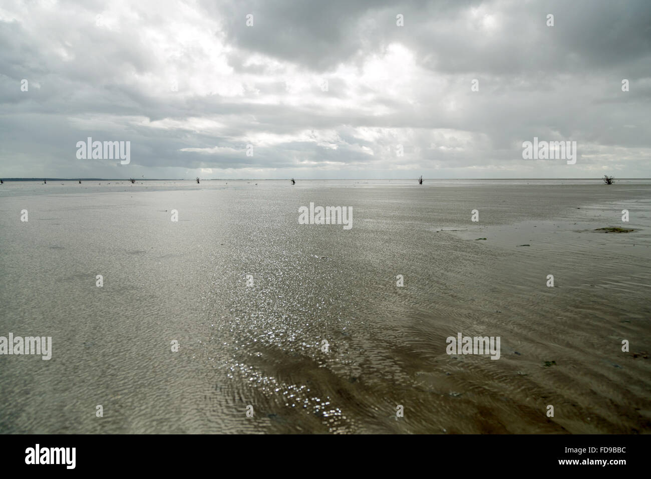 Cuxhaven, Germany, the Wadden Sea between the island Neuwerk and ...