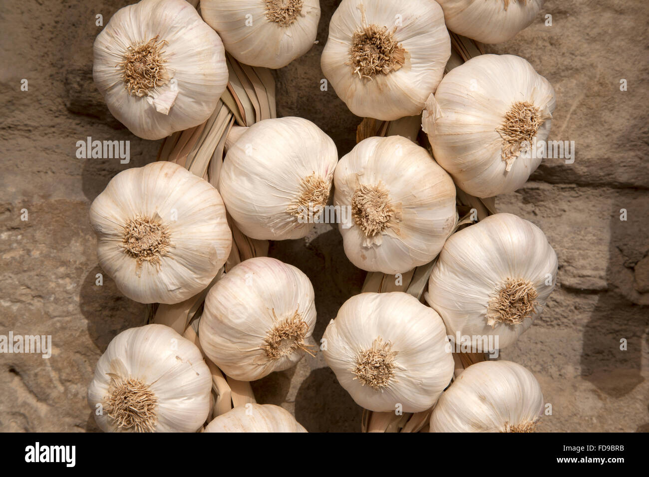 Garlic Hanging from a Stone Wall Stock Photo - Alamy